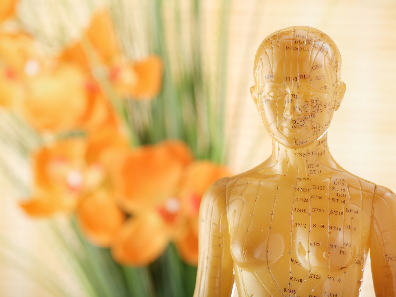 Dry Needling vs Acupuncture - Dr. Alexander Heyne