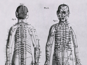 Acupuncture Points for Abdominal Pain - Dr. Alexander Heyne