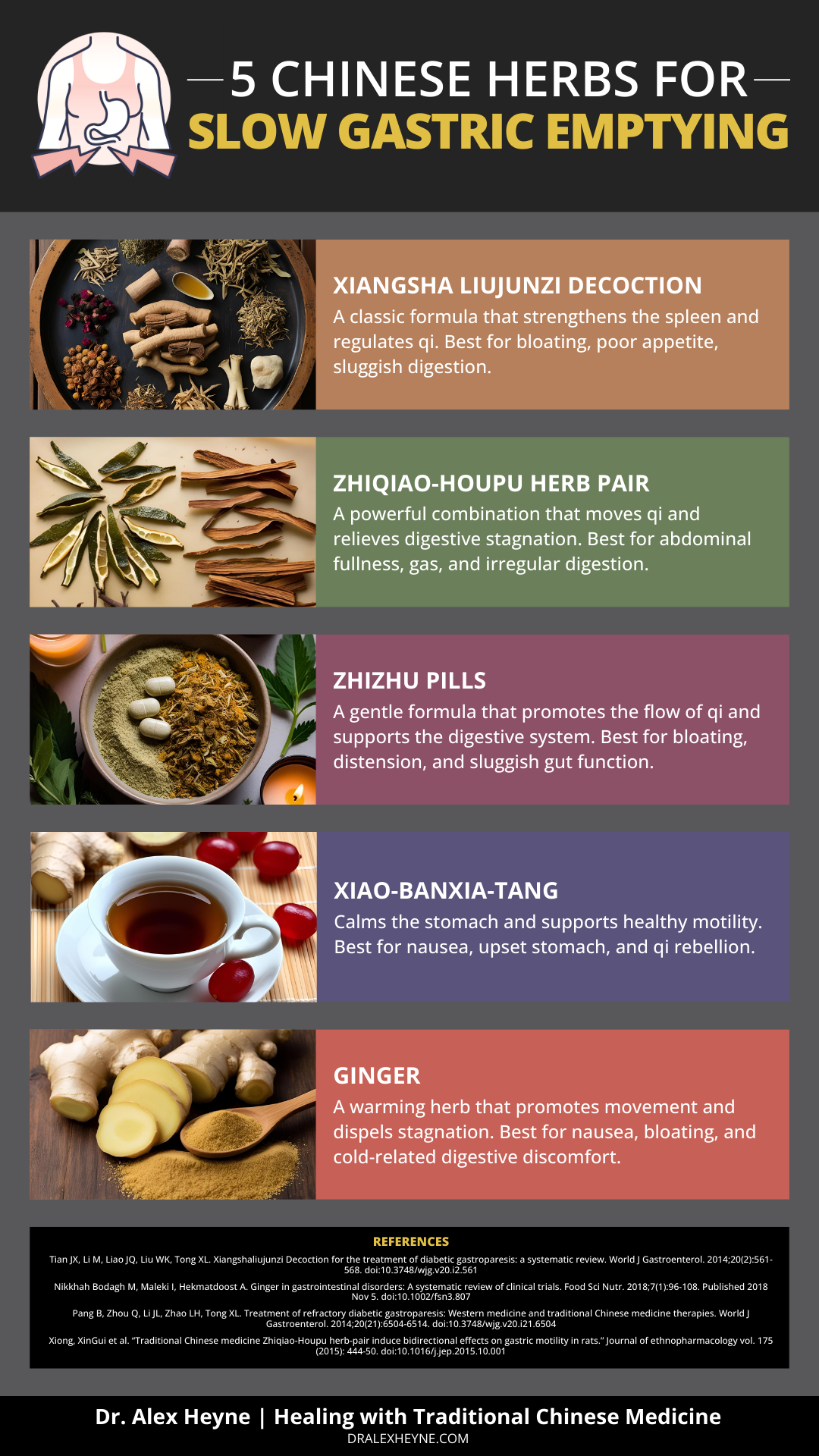 5 Chinese Herbs for Slow Gastric Emptying - Dr. Alex Heyne