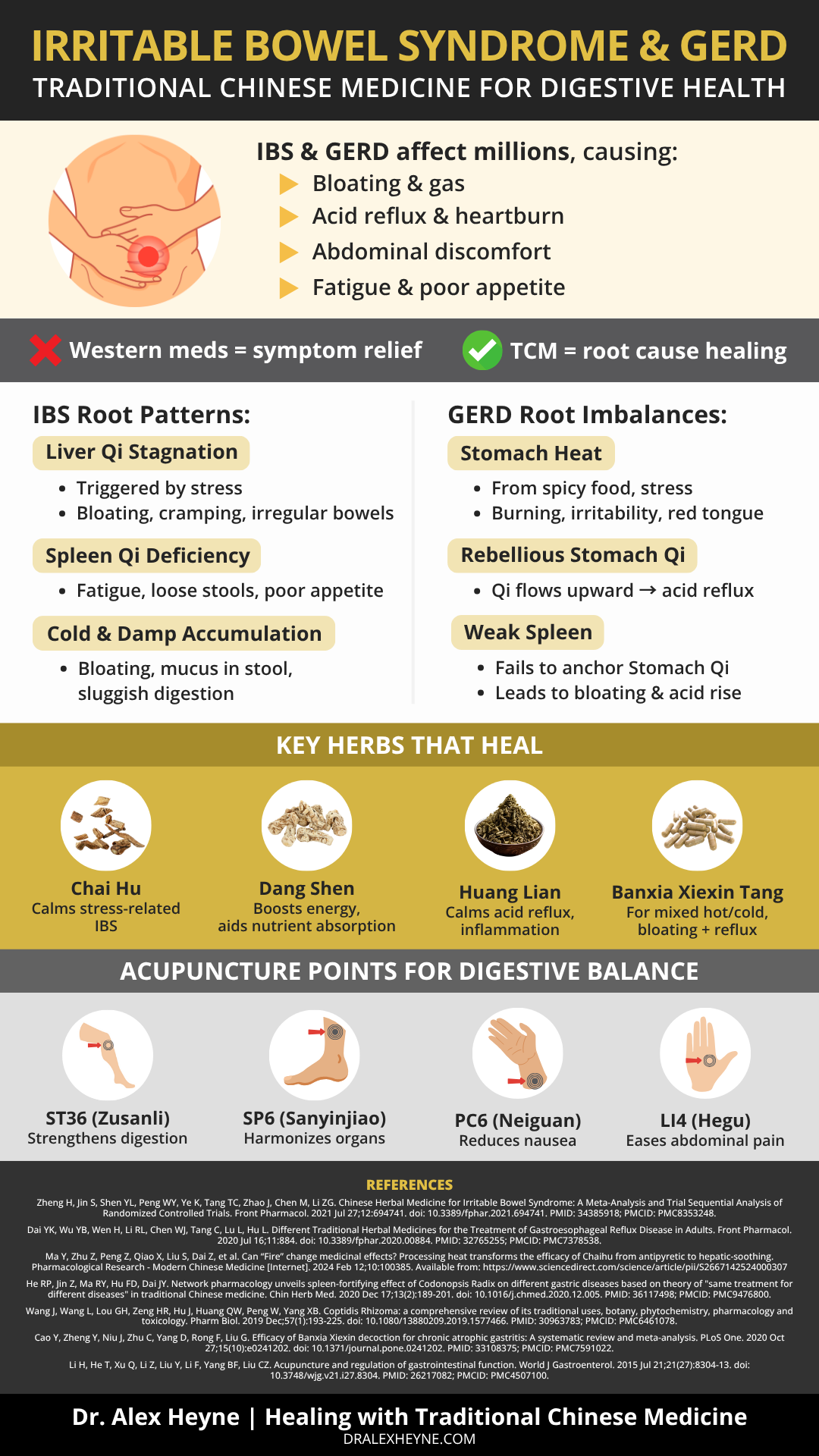 Irritable Bowel Syndrome, GERD and TCM - Dr. Alexander Heyne